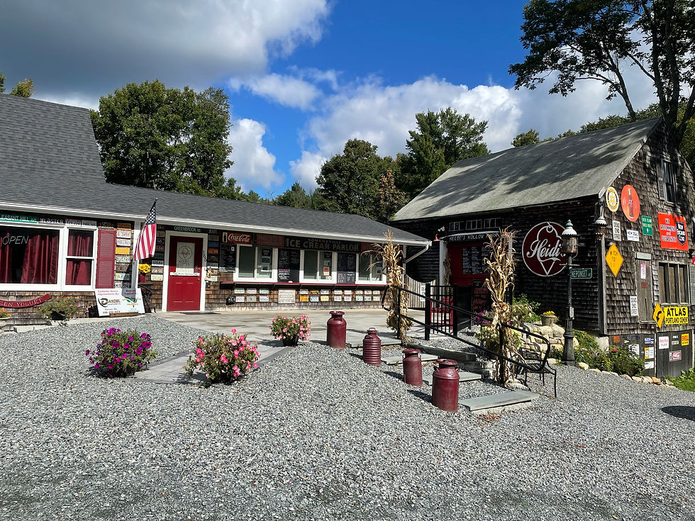 Heidi's Hollow Farm Ice Cream Hanson