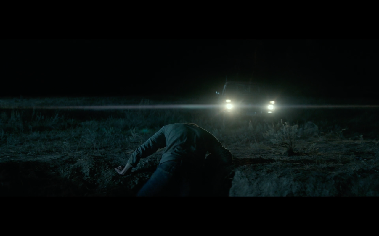 Steven Molony | Actor