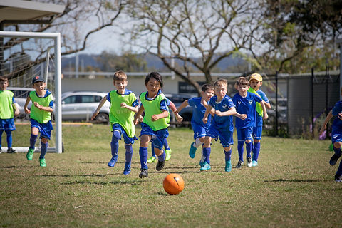 Home | Yeronga Eagles FC