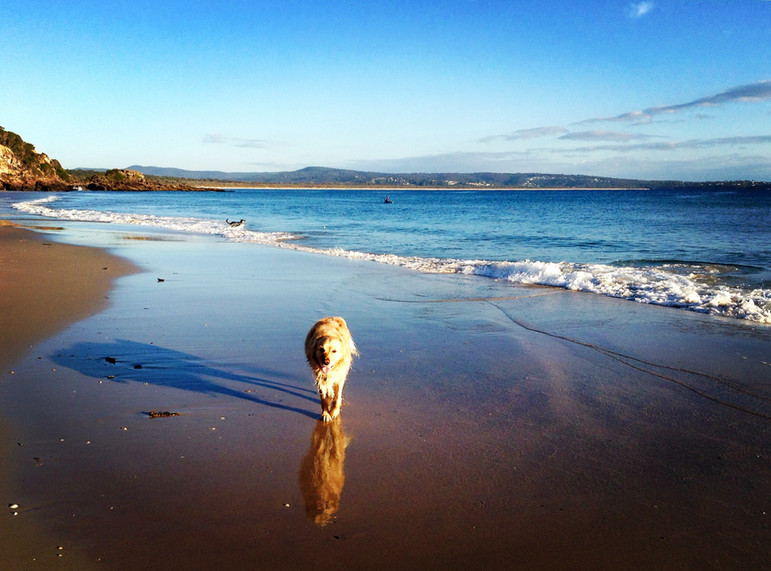 Beaches | Merimbula | Sapphire Coast | Visit Merimbula