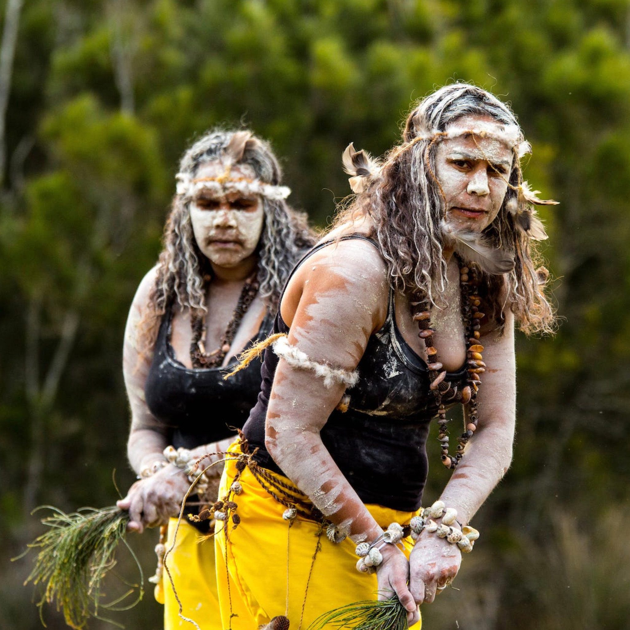 Merimbula, Whale Trail Aboriginal Cultural Experience | VisitMerimbula