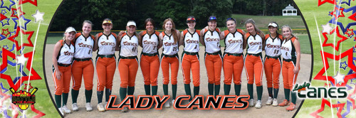 LADY CANES 16 | theposterguyz