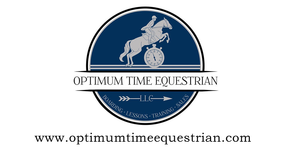 Optimum Guidance: Navigating the Equine Sales Process with Expertise