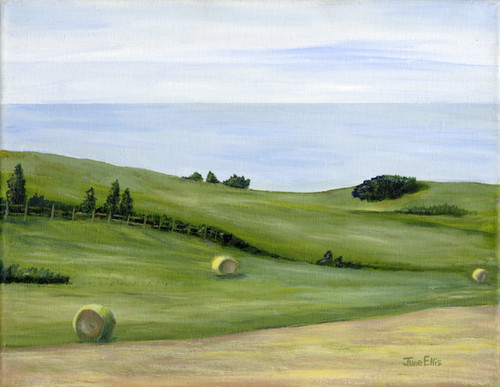 Calming Fields | June Ellis Artist