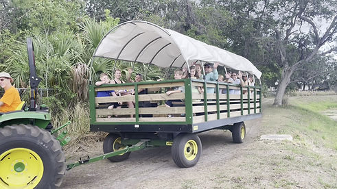 Spring Break Bash | DKfarms