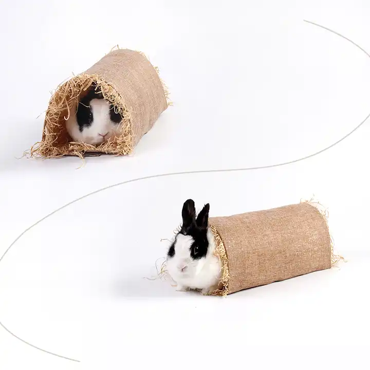 Rabbit Tunnel