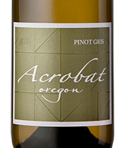 Acrobat Oregon Pinot Gris 2024 | Vintage Wine Shoppe
