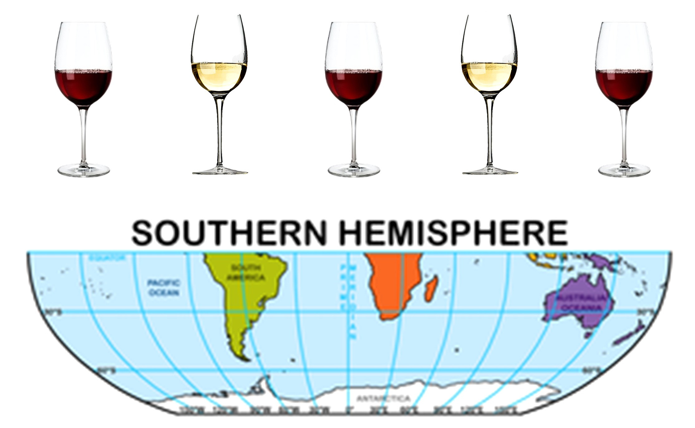 Wines from Under the Equator ($8 Per Person) | Vintage Wine Shoppe