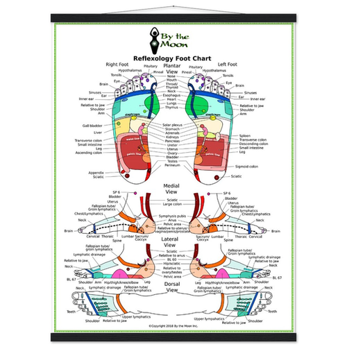Premium Semi-Glossy Paper Labelled Foot Chart Poster with Hanger | By ...