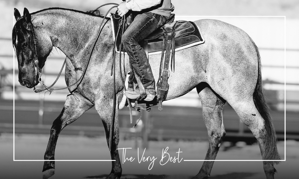 Solo, Relentless Remuda Send 5 Game-Changing Prospects to Fridays Old ...