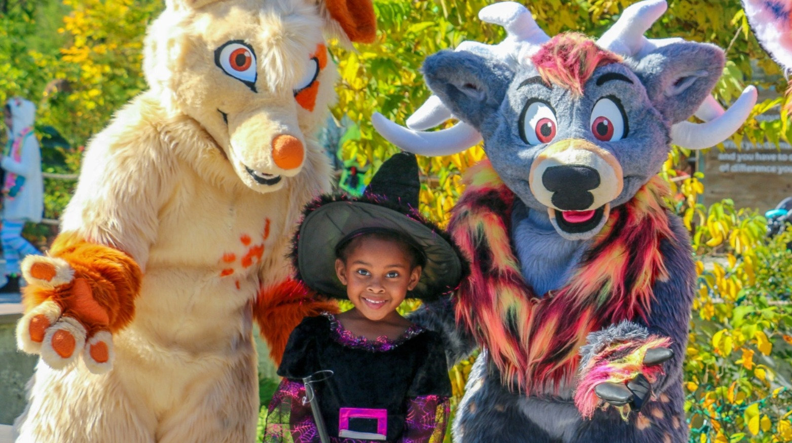 Spooky Zoo | DommiesBlessed