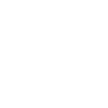V.S. Optima - The Value Stream Optimization platform