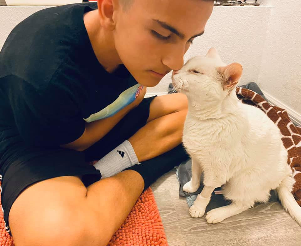 Coco | 941 Lost Pets