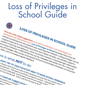 Loss of Privileges | Mooiman Consulting