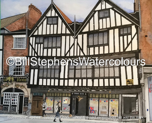 York Gin | Bill Stephens Art