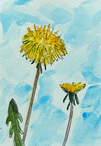 Dandy Jaime Lee Lightle | roundhillstudio