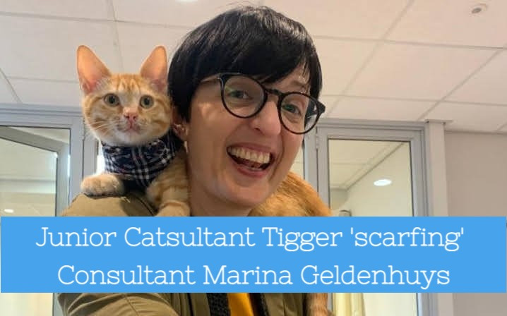 Writing Centre | UCT Writing Centre