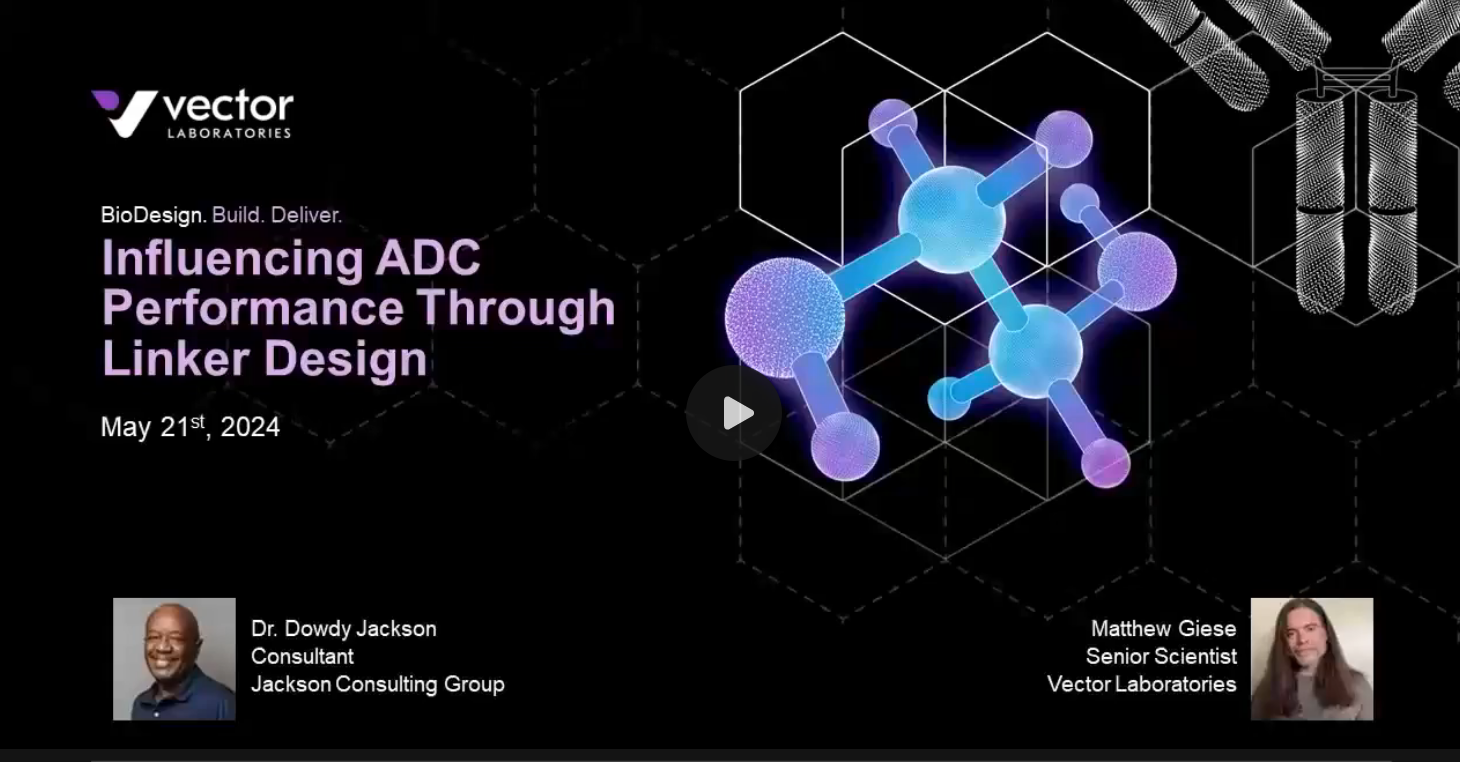 Maximizing ADCs: Impact of Linker Design on Antibody Drug Conjugates