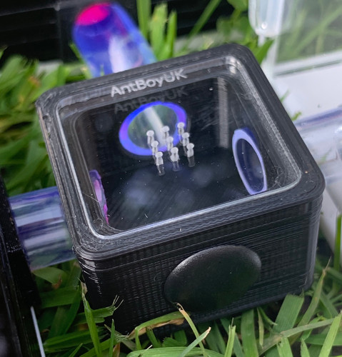 Multi Port Junction | AntBoyUK