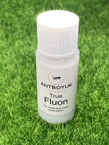 True FLUON | AntBoyUK