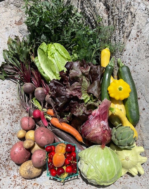 Fresh From Wellspring Charitable Gardens - May 30, 2024