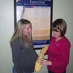 About Us | Wilson Chiropractic