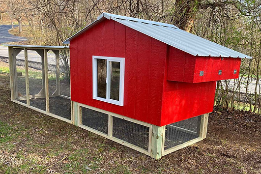 XL Hen House with 8ft run - Chickens - Chicks - Chicken Coops - Chicken ...