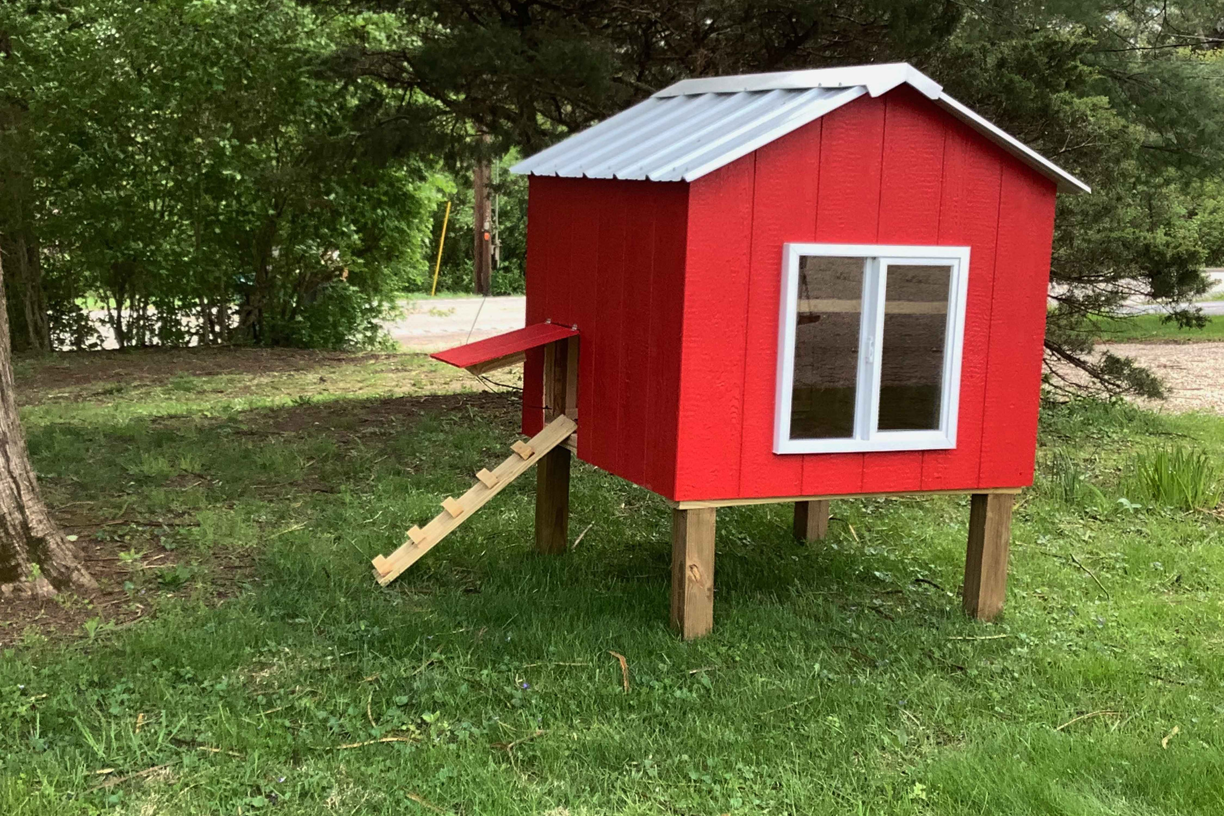 Hut - Tall Legs - Chicken Package - Chickens - Chicks - Chicken Coops ...
