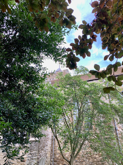 Rye Bed & Breakfast Accommodation | The Tea House | England