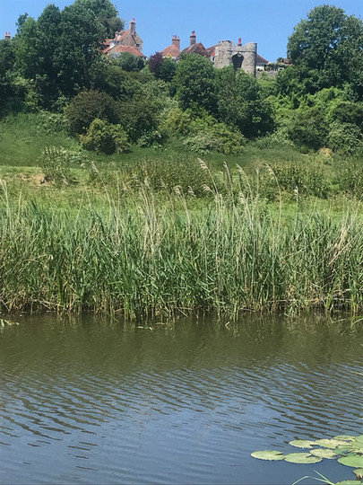 Rye Bed & Breakfast Accommodation | The Tea House | England