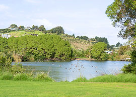 Events | NZ Arb | The New Zealand Arboricultural Association