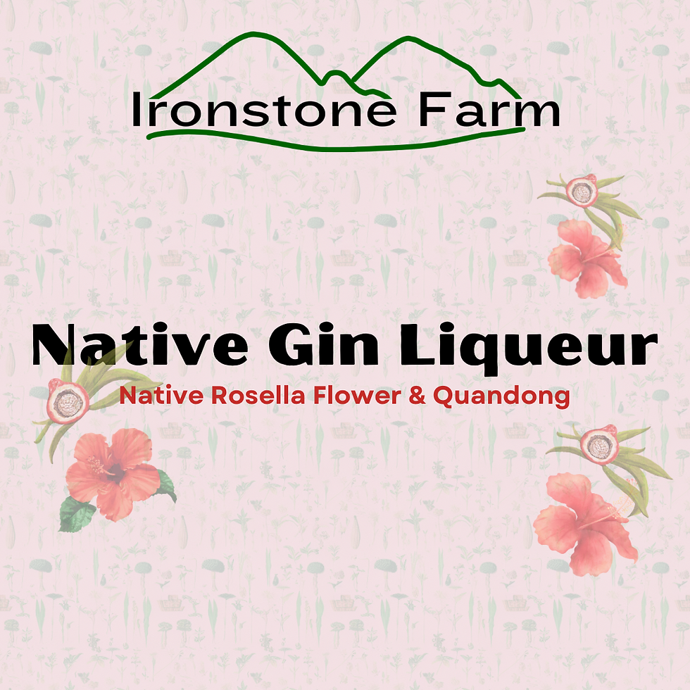 Native Gin Liqueur | The Urban Cellar