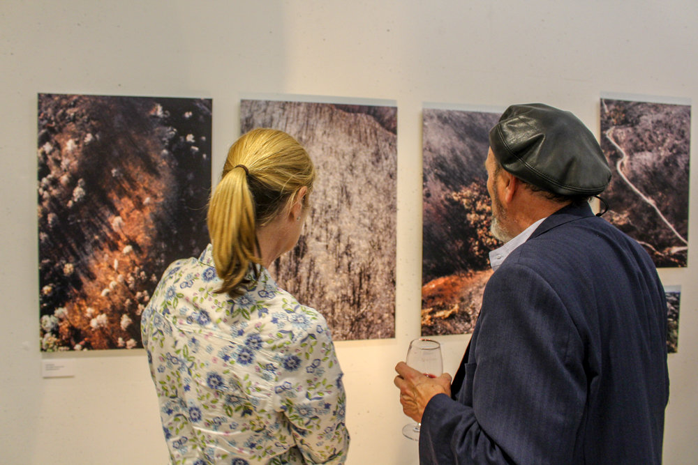 Curator's Tour | Art Responds