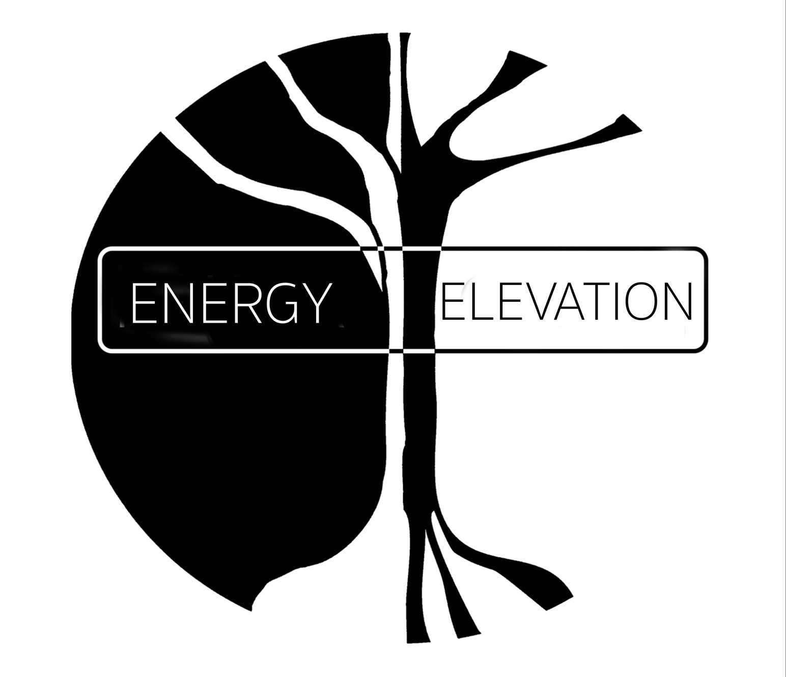 WHAT ARE THE ELEMENTS? | ENERGY ELEVATION