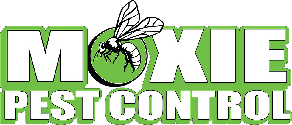 Moxie Pest Control Oklahoma City