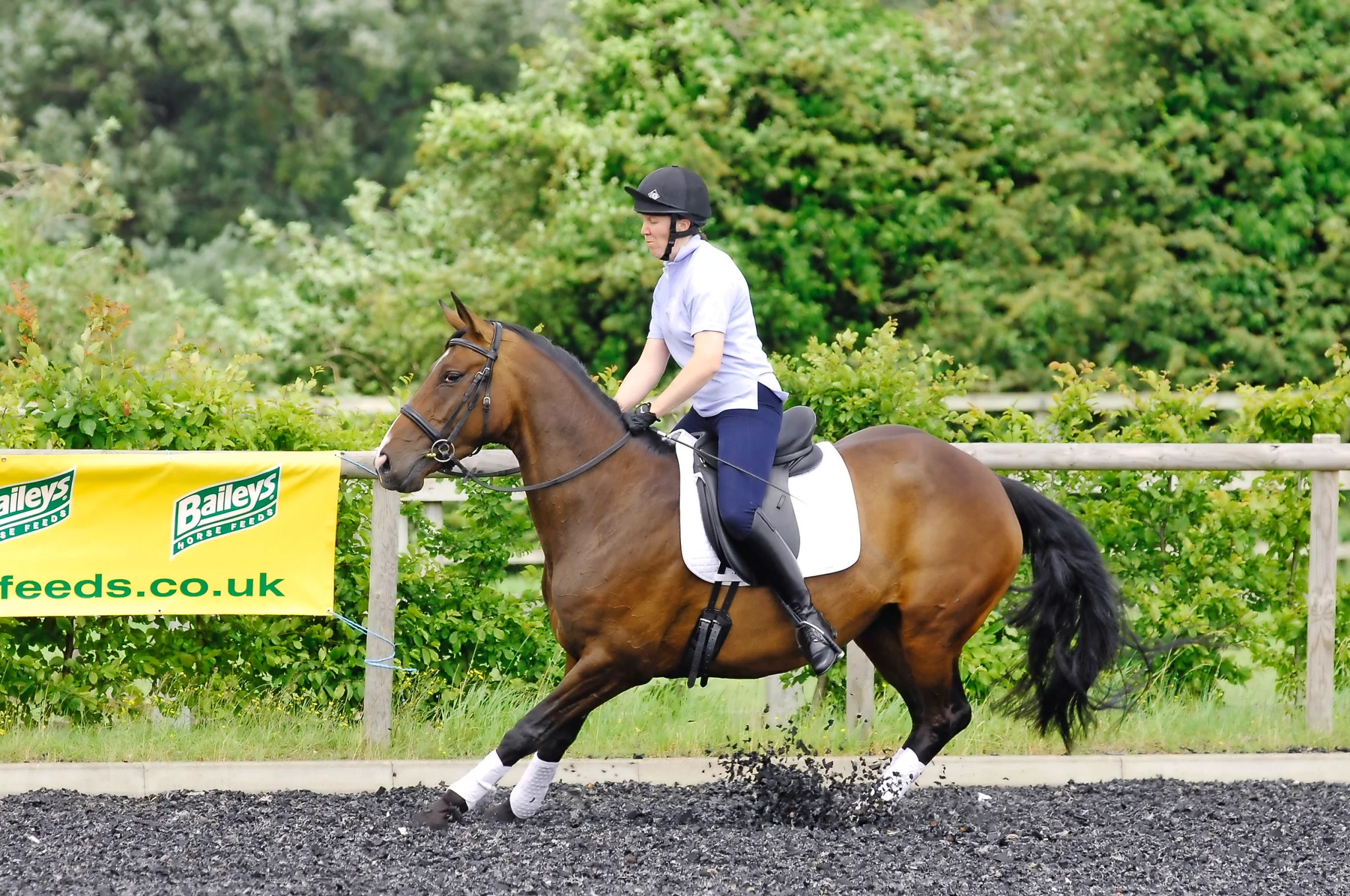 Dealing with Spooking in Horses: Causes and Prevention