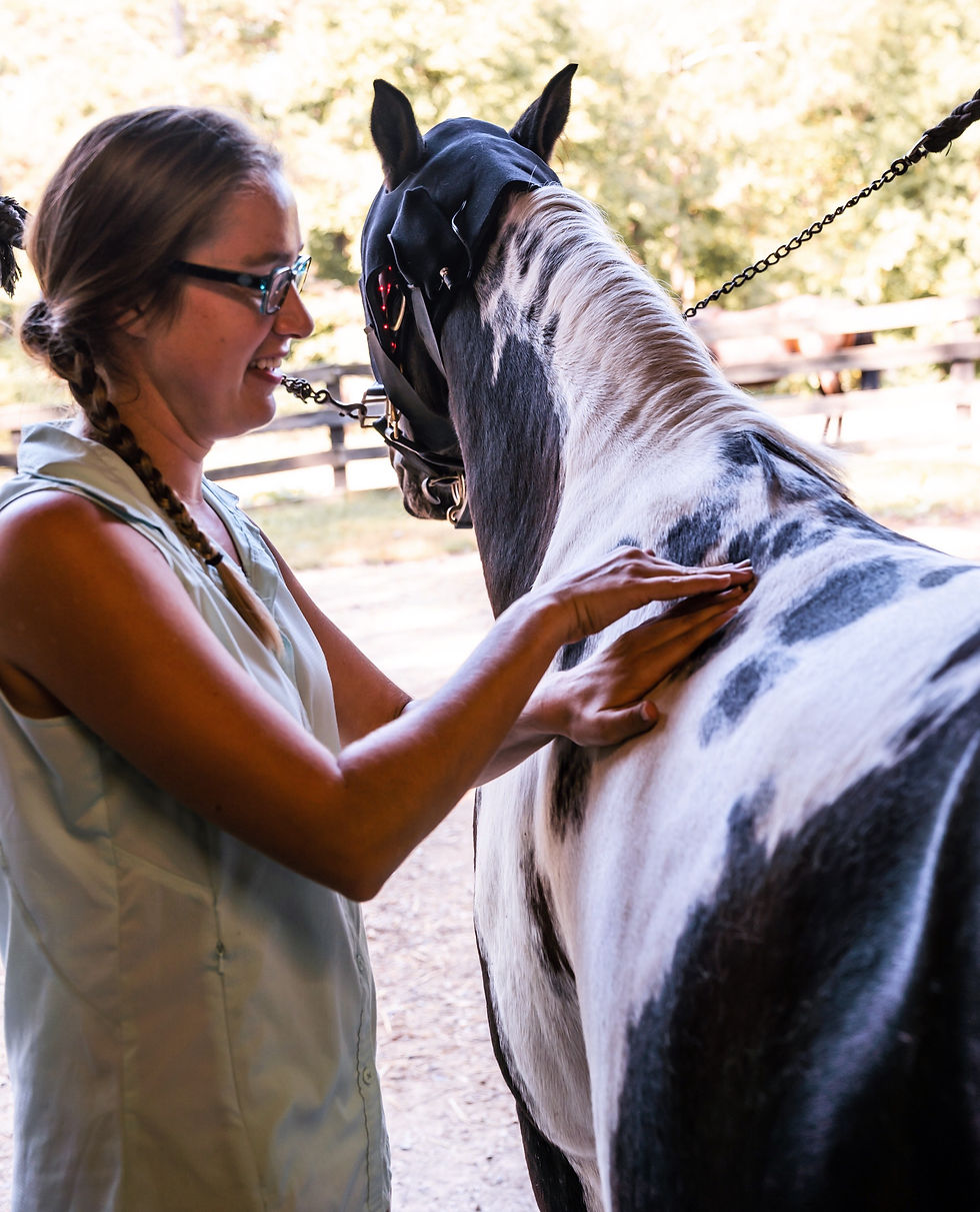 What You Should Know About Equine Infectious Anemia (EIA)