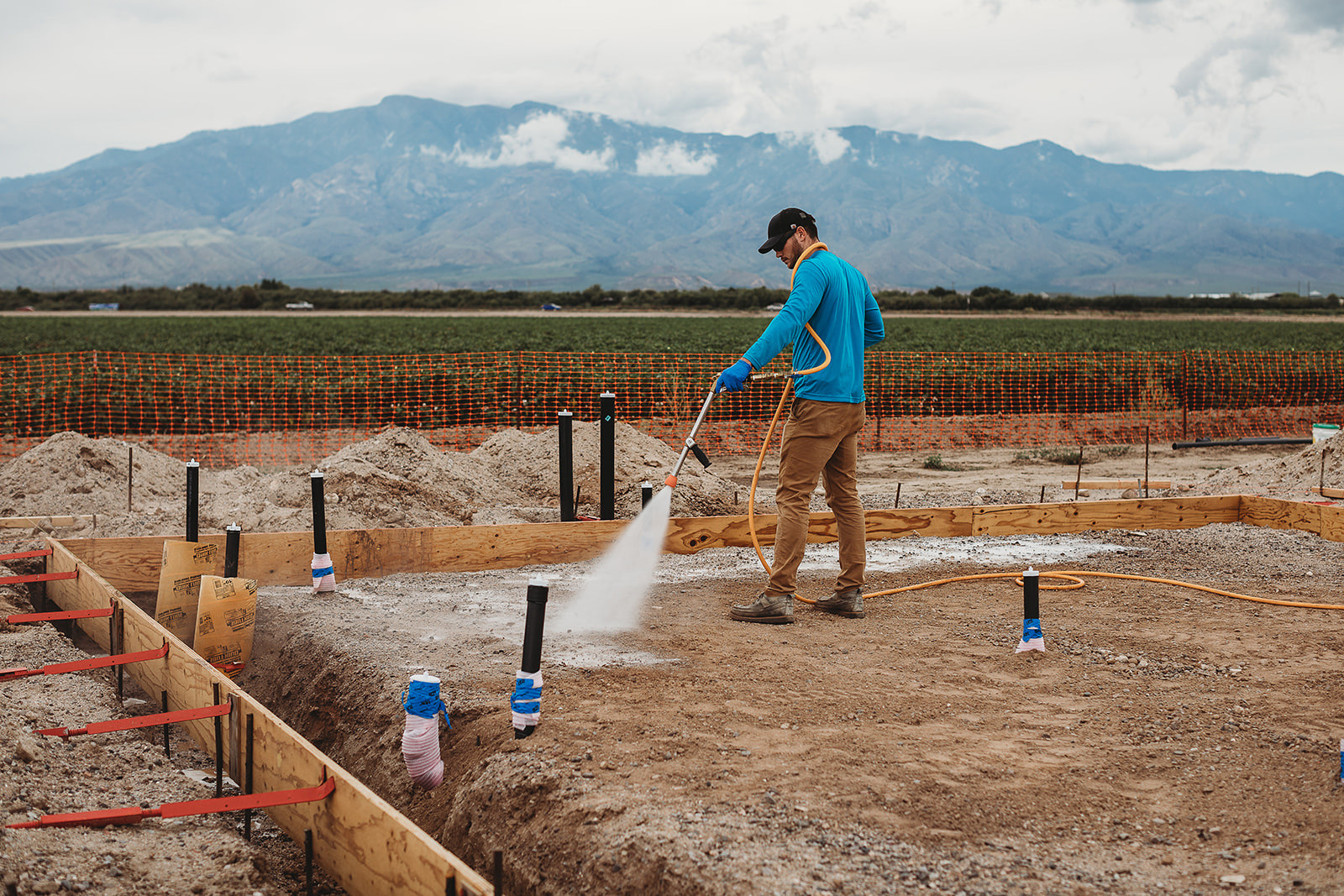 Termites | hydrapest