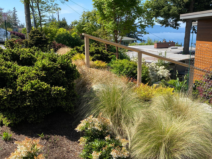 Gallery | Geoscapes Inc.