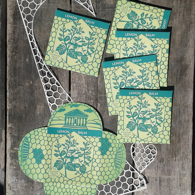 Papercut | Annie Howe Papercuts | United States
