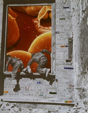 COLLAGES | ROBIN TEWES