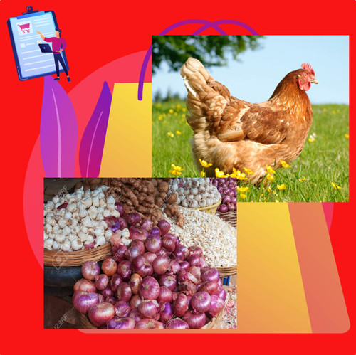 Ethiopian Hen and Onion 5Kg | HabeshaShops