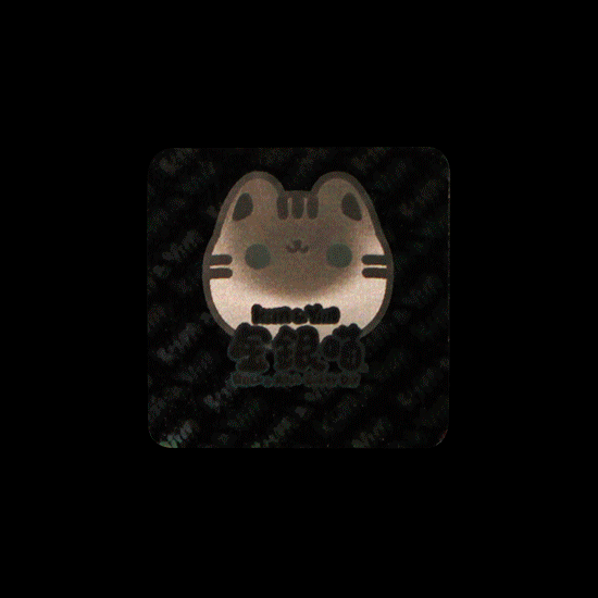 Holographic Effects│Security Printing│Holo Solution Inc.