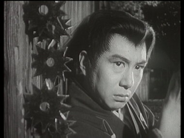 Shintaro The Samurai Seasons 1-10 Complete Set 36 DVD's