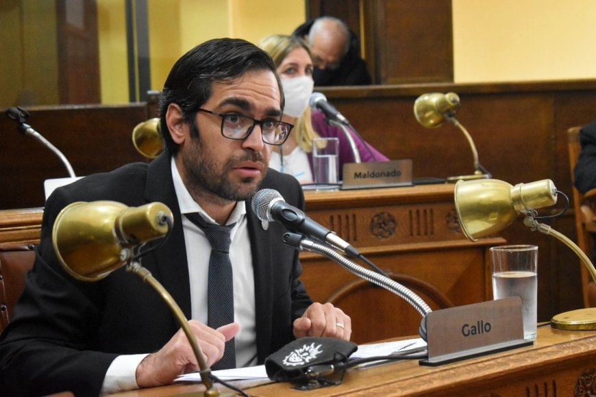 Juan Gallo: "Frigerio y Larreta hablan de una realidad que desconocen"