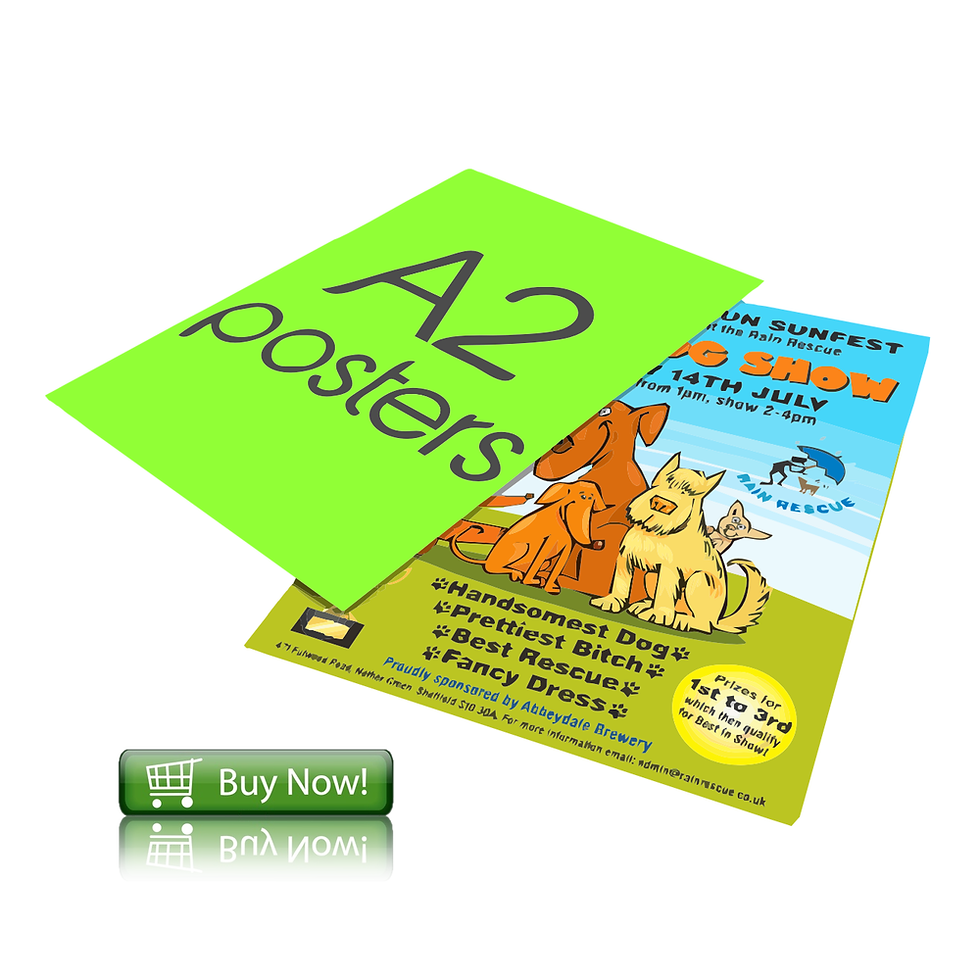 A2 Single Sided Posters | Easy Print Bathurst