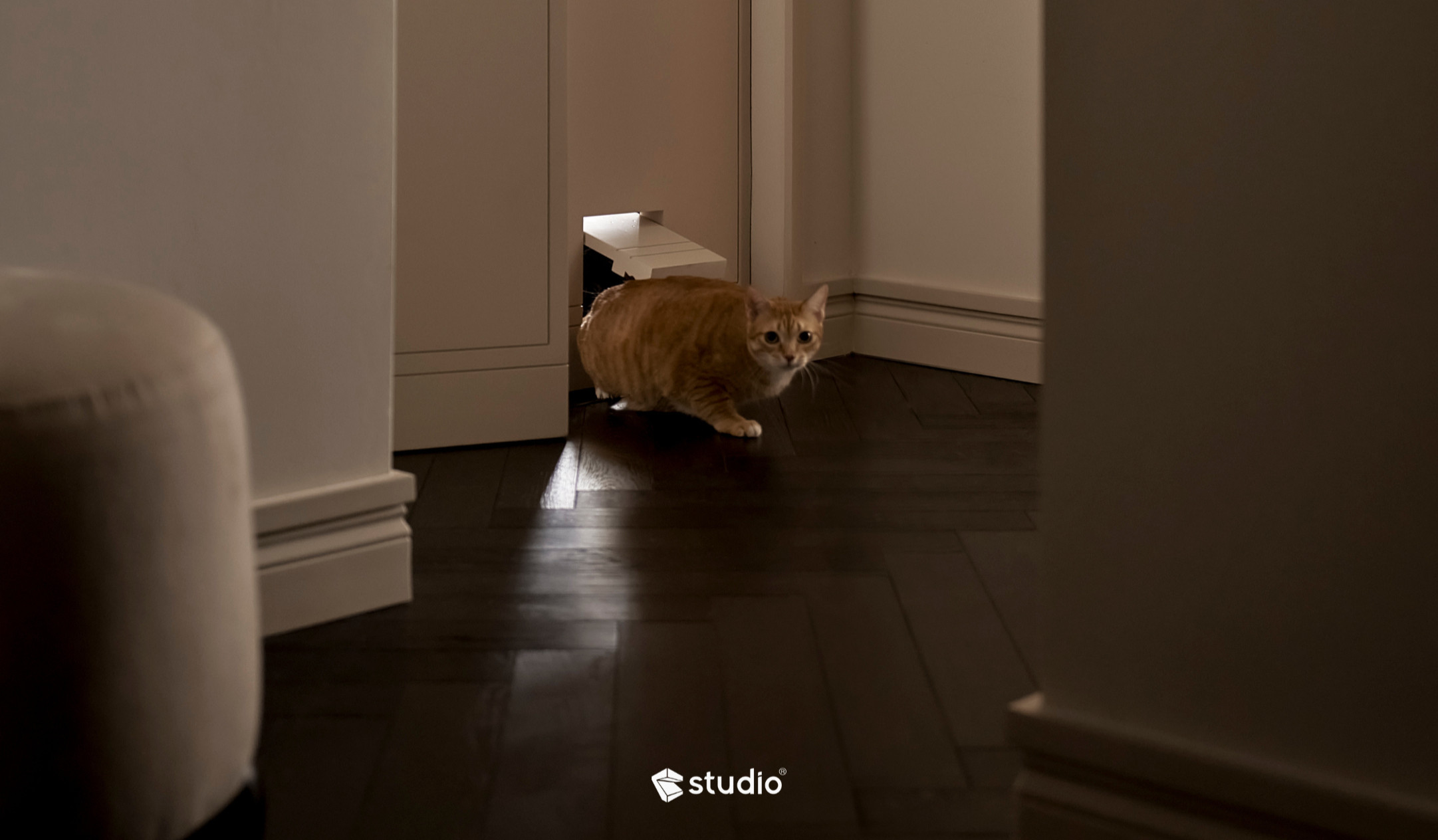 Tropical Garden - Cat Lover Cocoon | THE 7 STUDIO