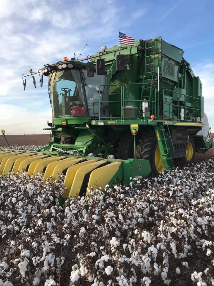 Home | Lingelville, Texas