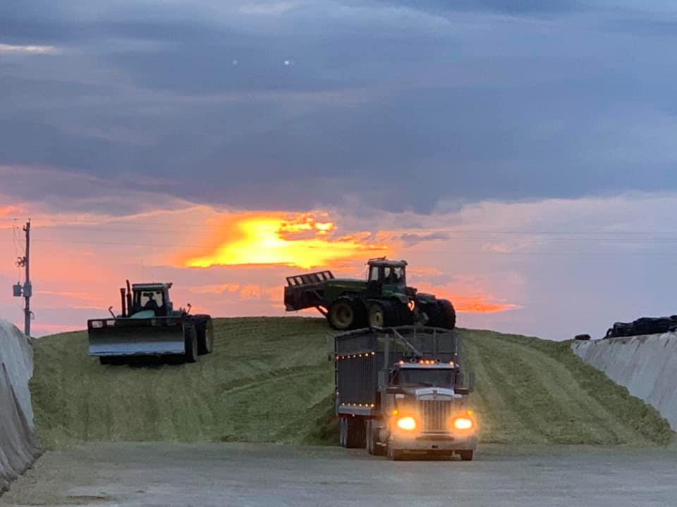 Silage Harvesting | JPFarms | United States