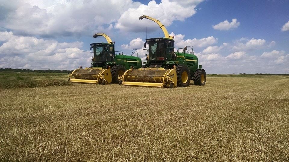 Home | Lingelville, Texas